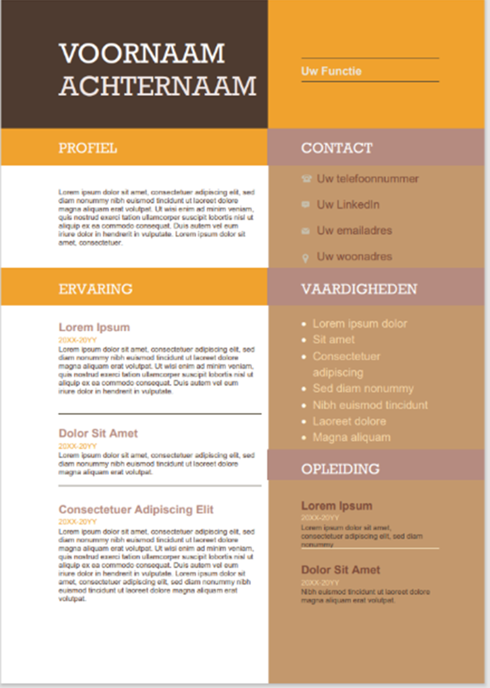 Hoe ontwerp je correct een cv? - PWR Reïntegratie